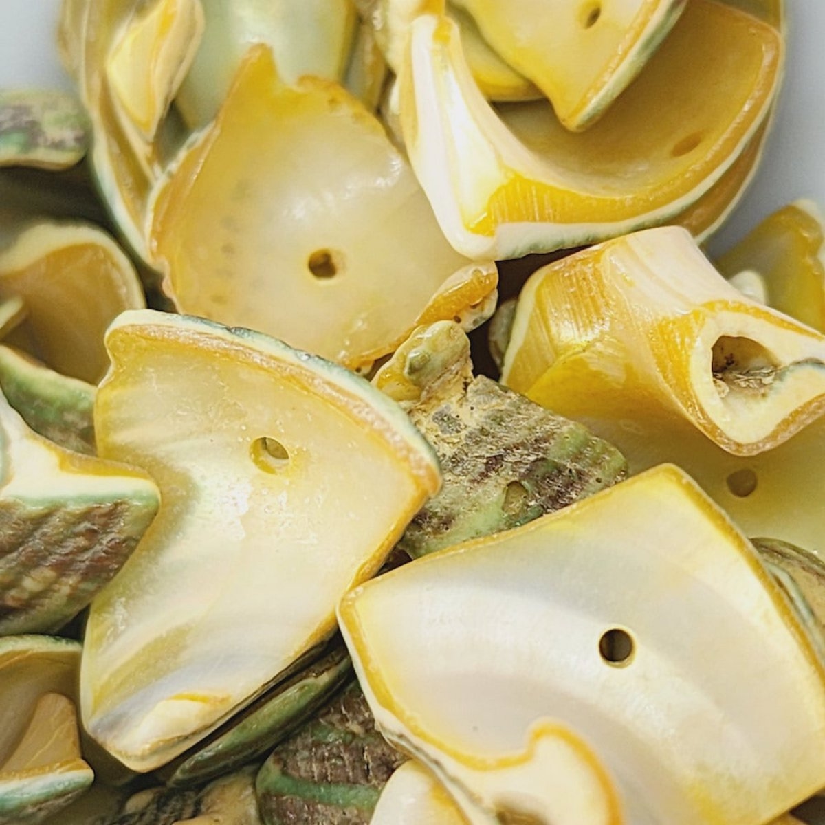 Shell Chips (100 grams) - Green/Cream – Bead Shack